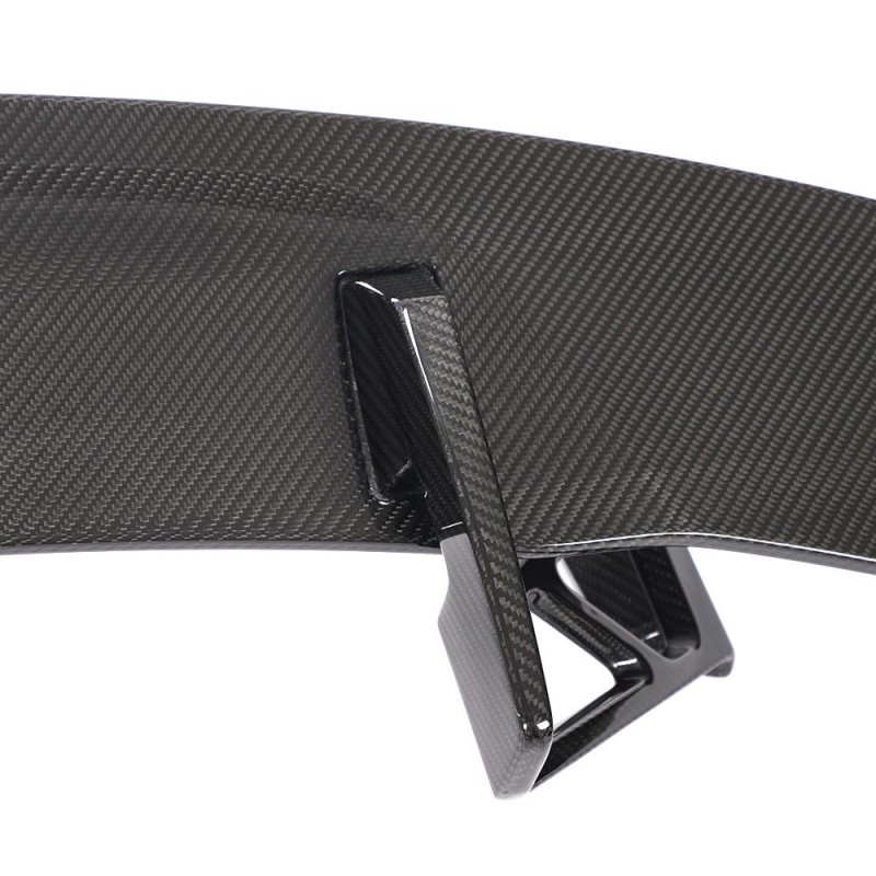Audi TT RS 15-20 Carbon Fiber Wing - Coated