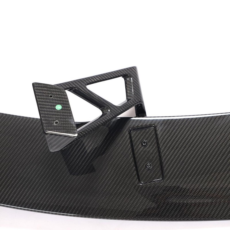 Audi TT RS 15-20 Carbon Fiber Wing - Coated